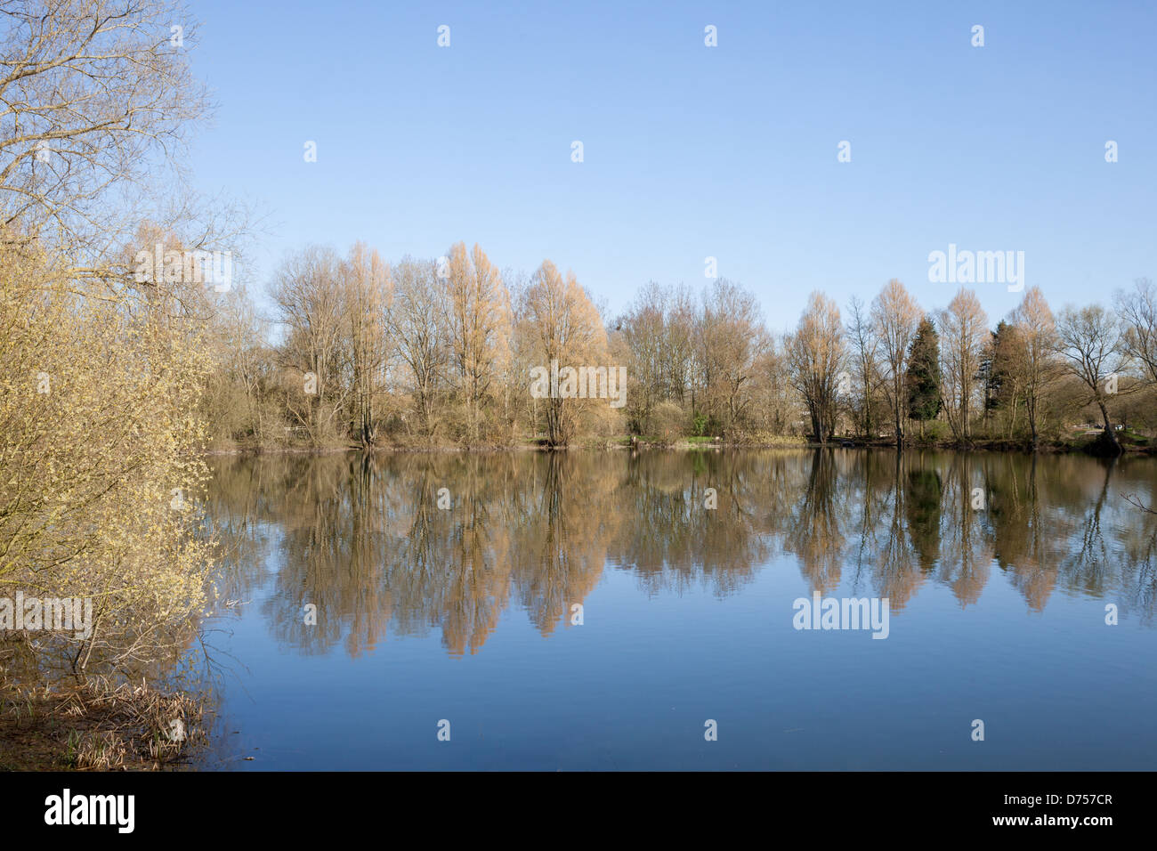 Barwell Country Park Stock Photo - Alamy