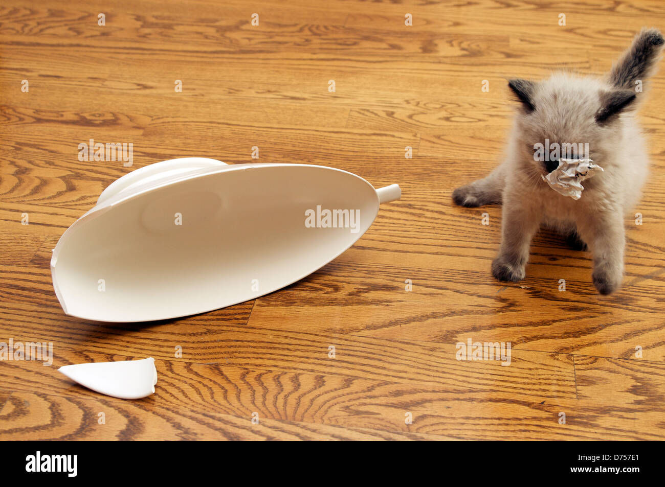 Breaks vase hi-res stock photography and images - Alamy