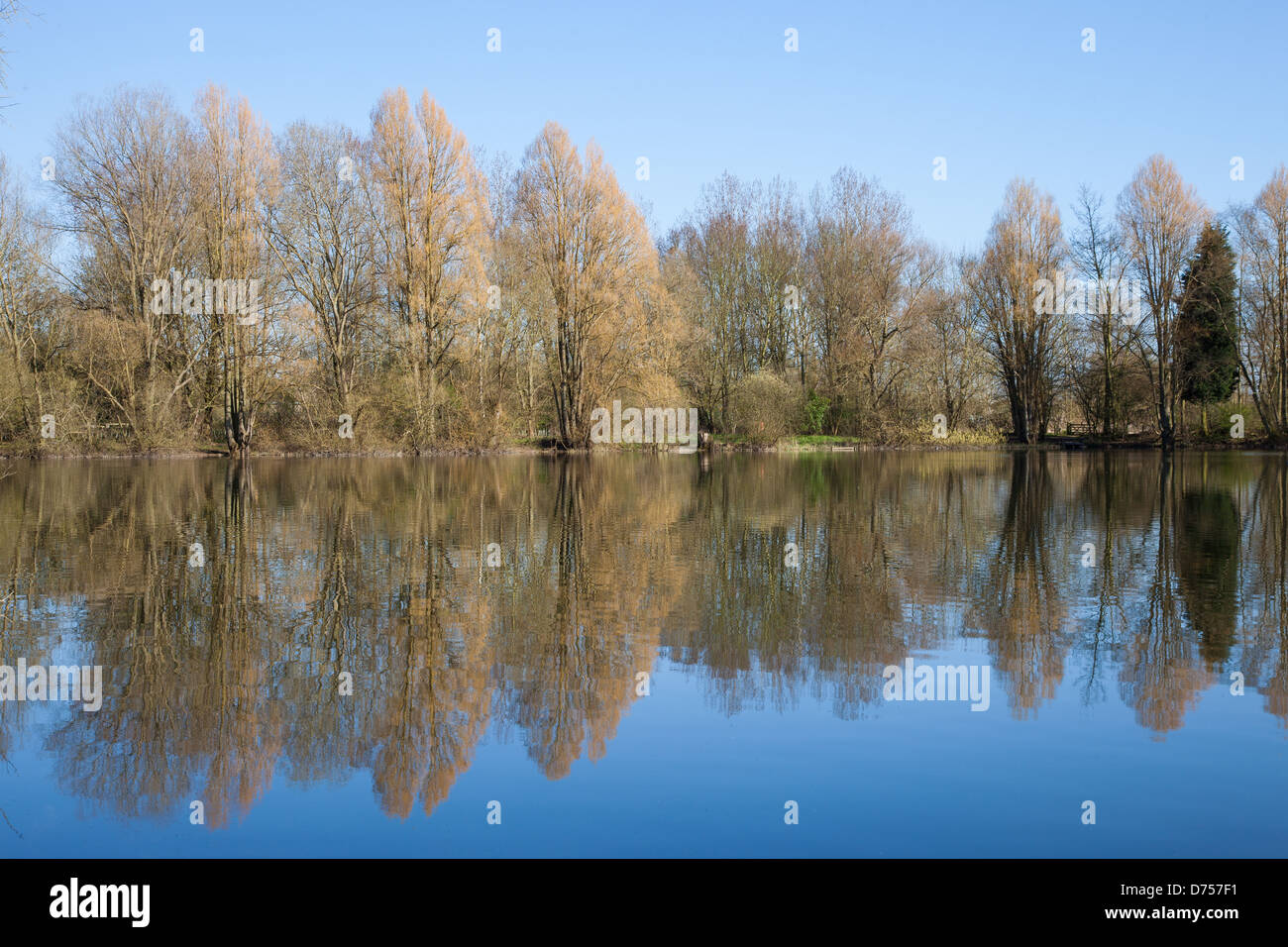 Barwell Country Park Stock Photo - Alamy
