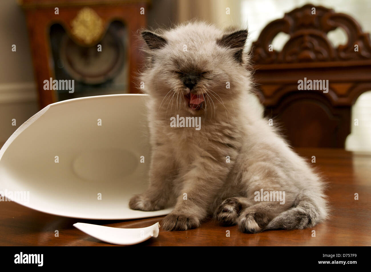 Broken vase hi-res stock photography and images - Alamy