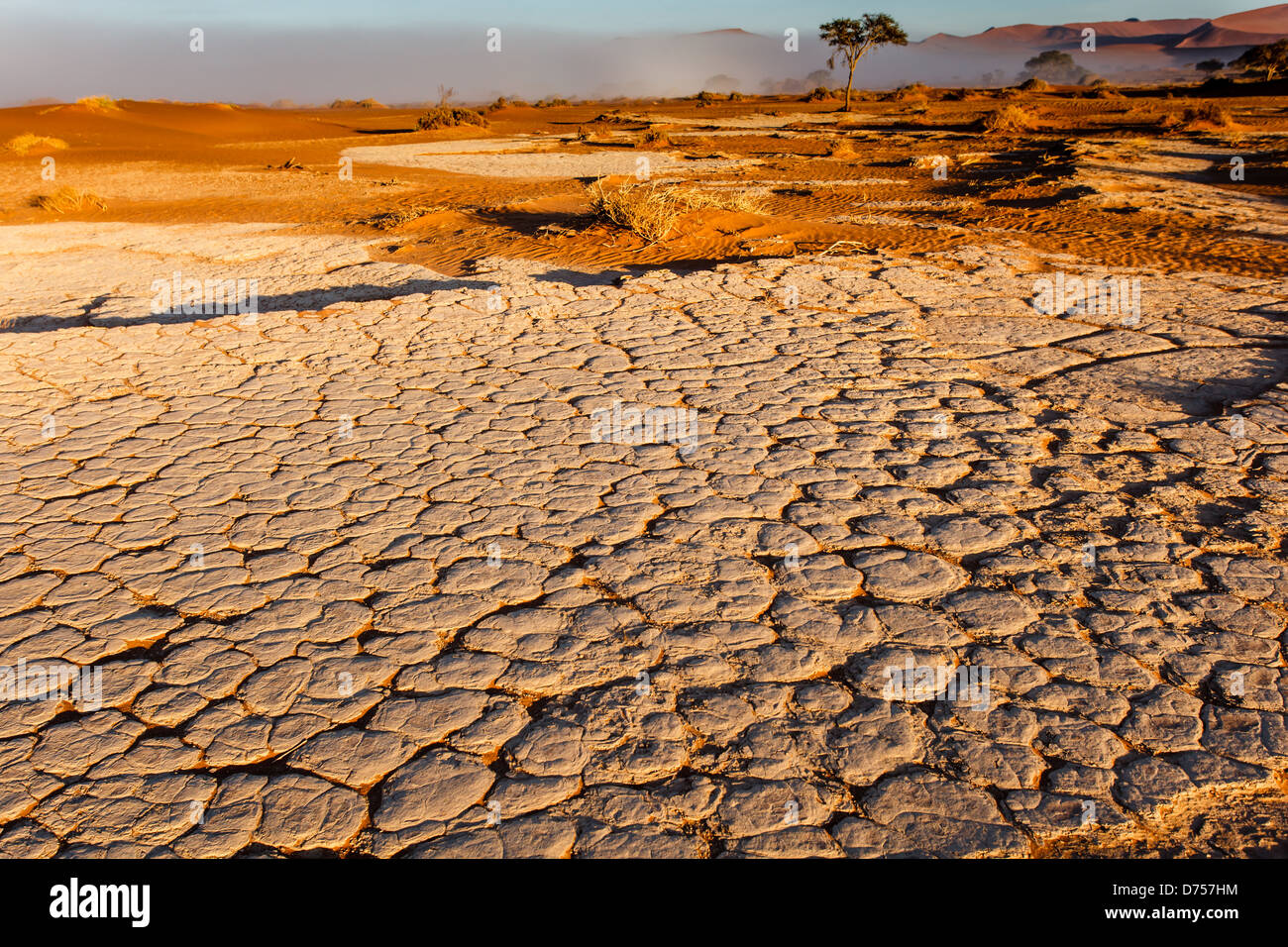 fog contrasts with dried cracked riverbed mud surface Namibian desert ...