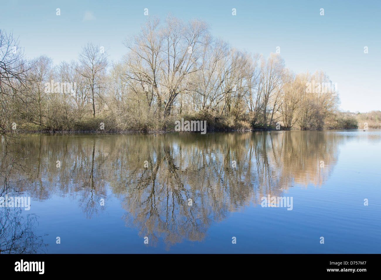 A stunning autumn scene at Barwell Country Park, Leicestershire, with ...