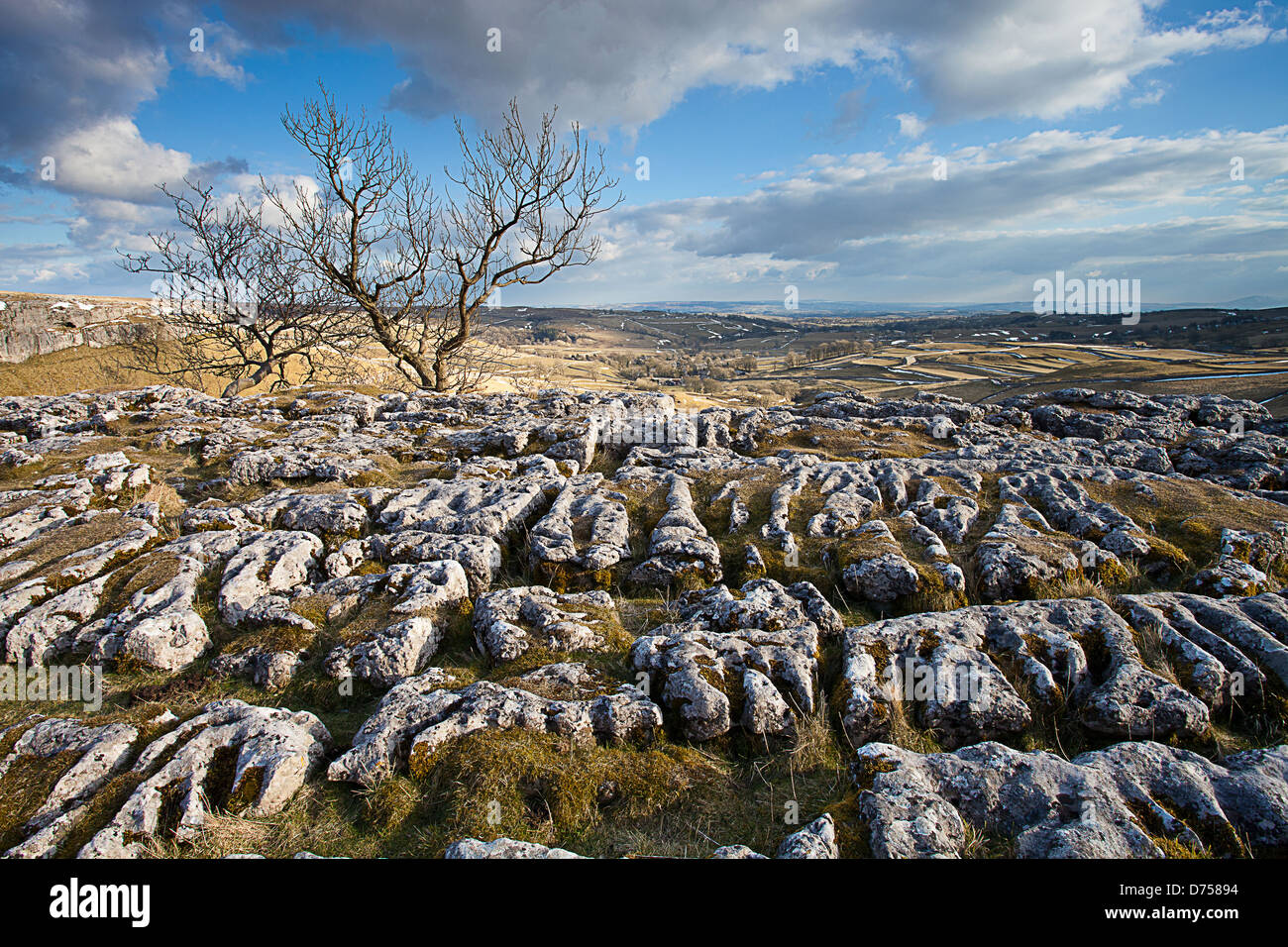 Malham Cove in the Yorkshire Dales England showing the Lime stone ...
