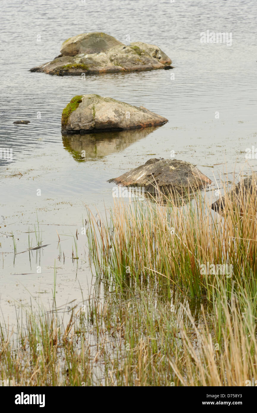 stones at the edge of small lake in the "Lake District Stock Photo - Alamy