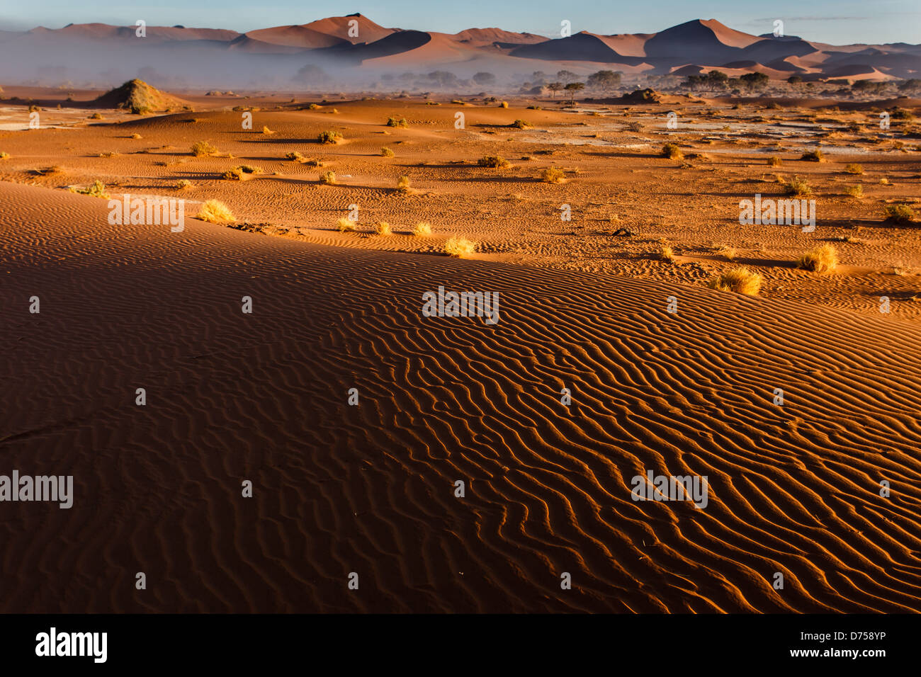 Namib desert fog hi-res stock photography and images - Alamy