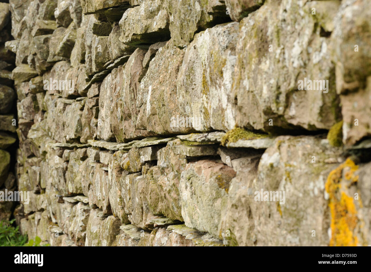 Close-up of limestone dry stone wall in the "Lake District Stock Photo ...