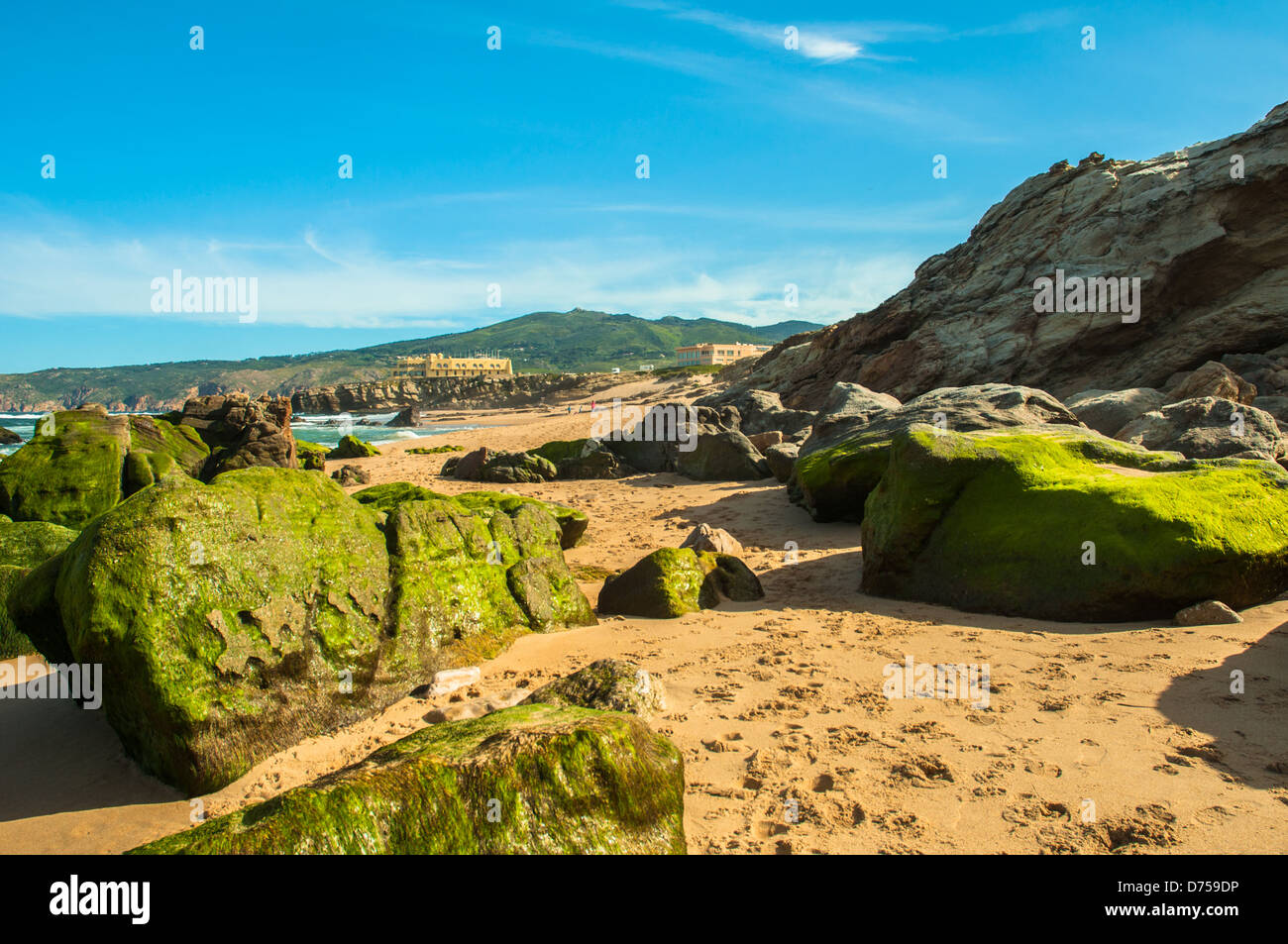 Mossy rocks on the beach Stock Photo - Alamy