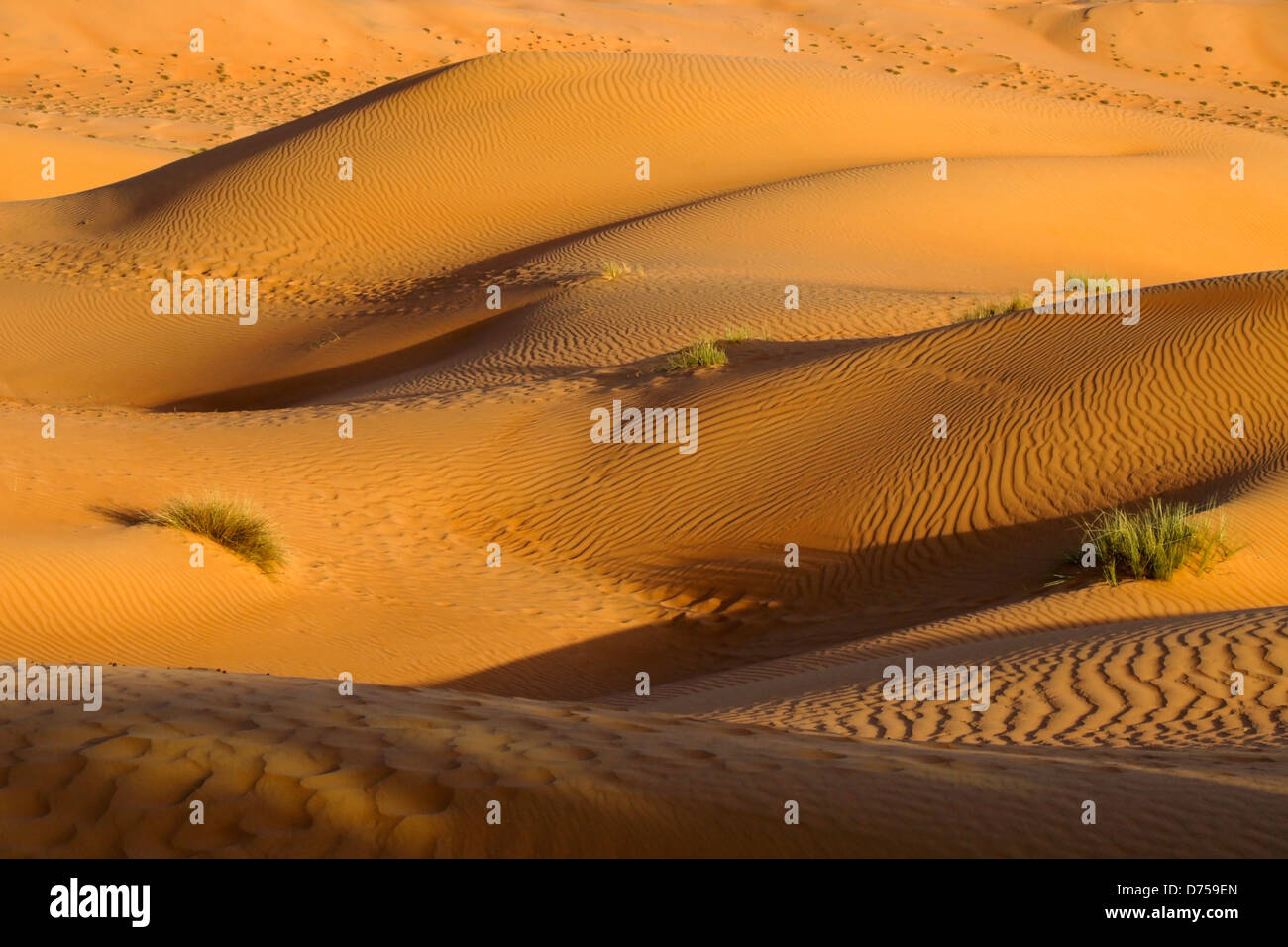 Wahiba Sands (Sharqiya Sands), Oman Stock Photo - Alamy