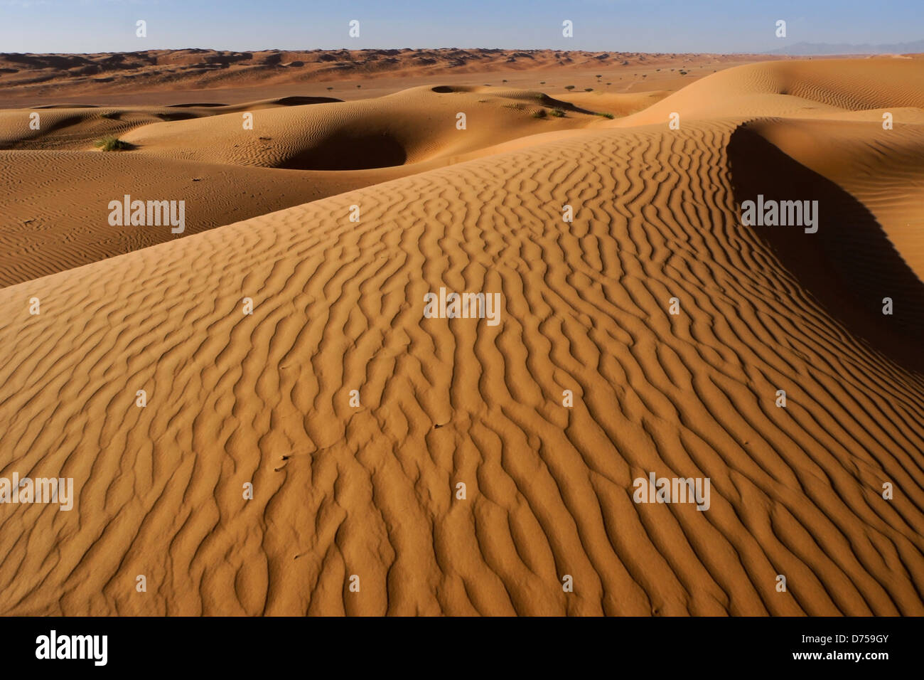 Sharqiya sands hi-res stock photography and images - Alamy