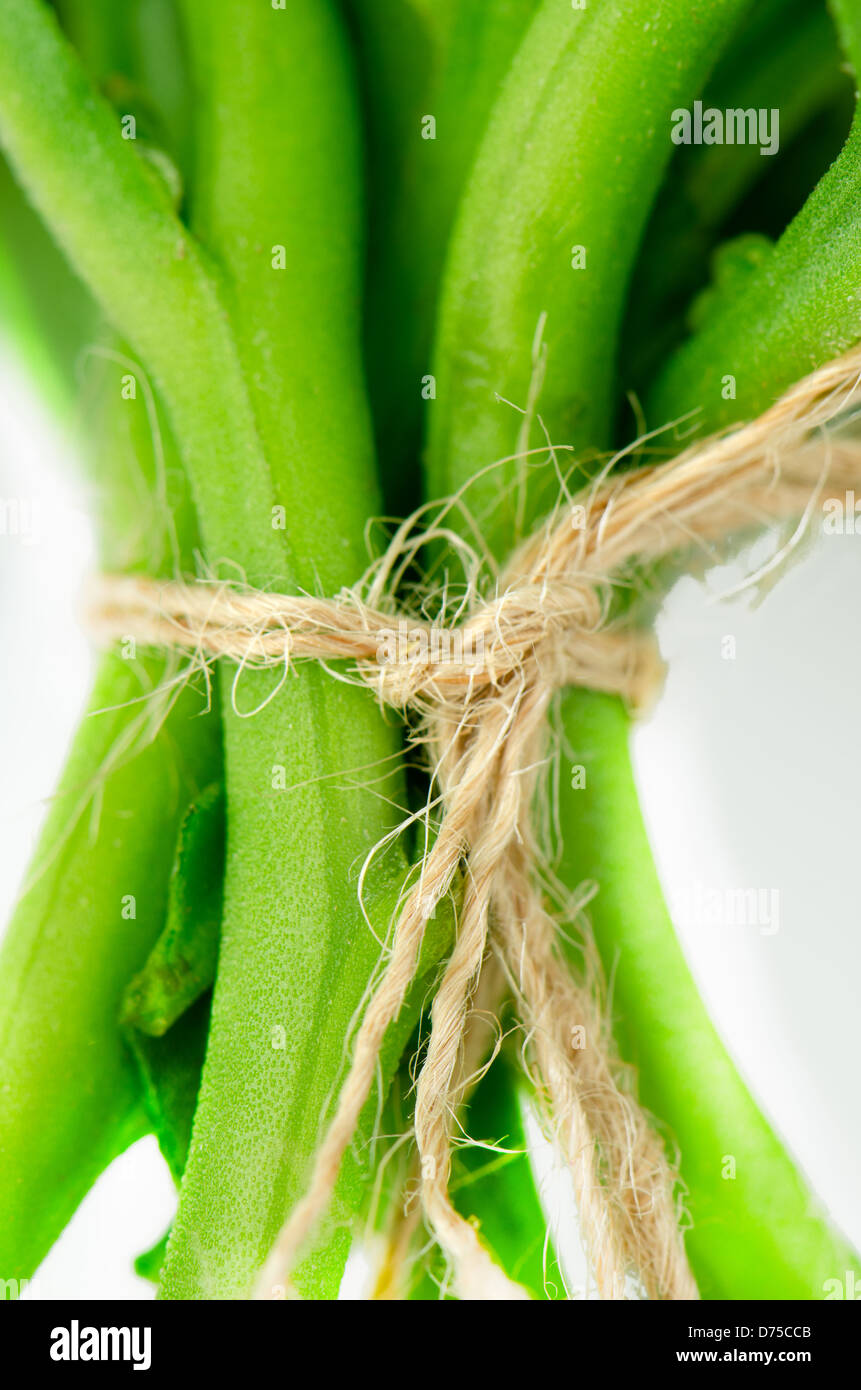 Green raffia ribbon hi-res stock photography and images - Alamy