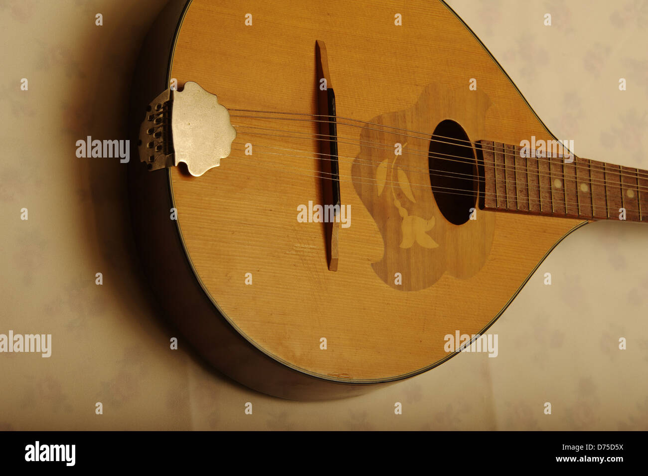 Mandolin strings close up hi-res stock photography and images - Alamy