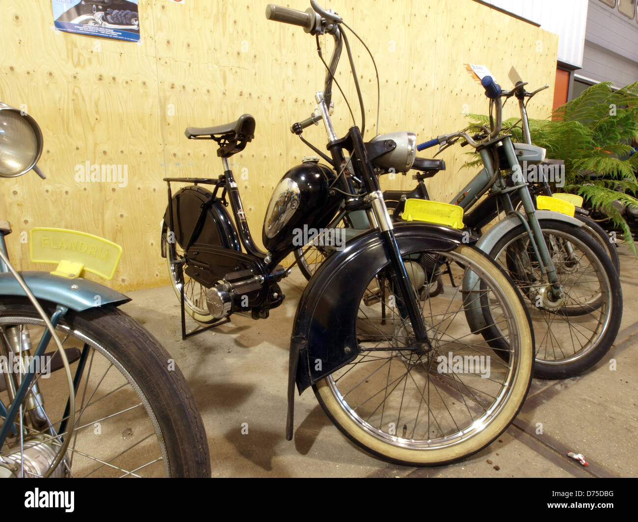 The artwork 'Benini p188' exemplifies the artist's use of texture and ...