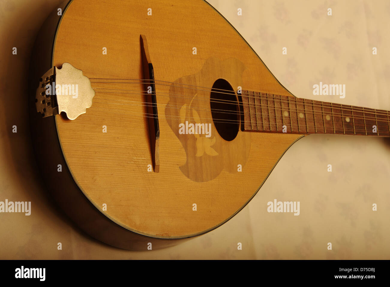 Mandolin strings close up hi-res stock photography and images - Alamy