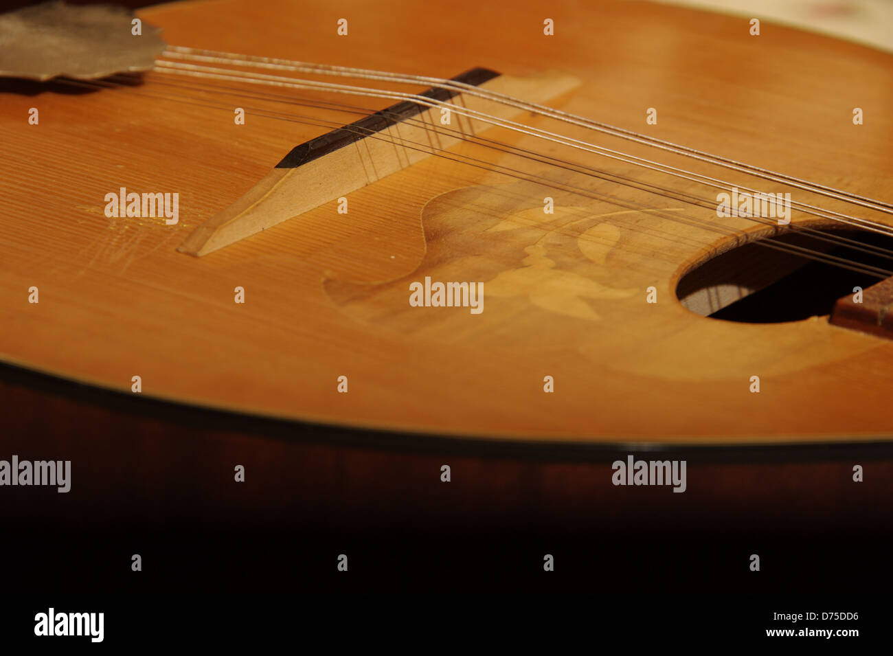 Mandolin strings close up hi-res stock photography and images - Alamy