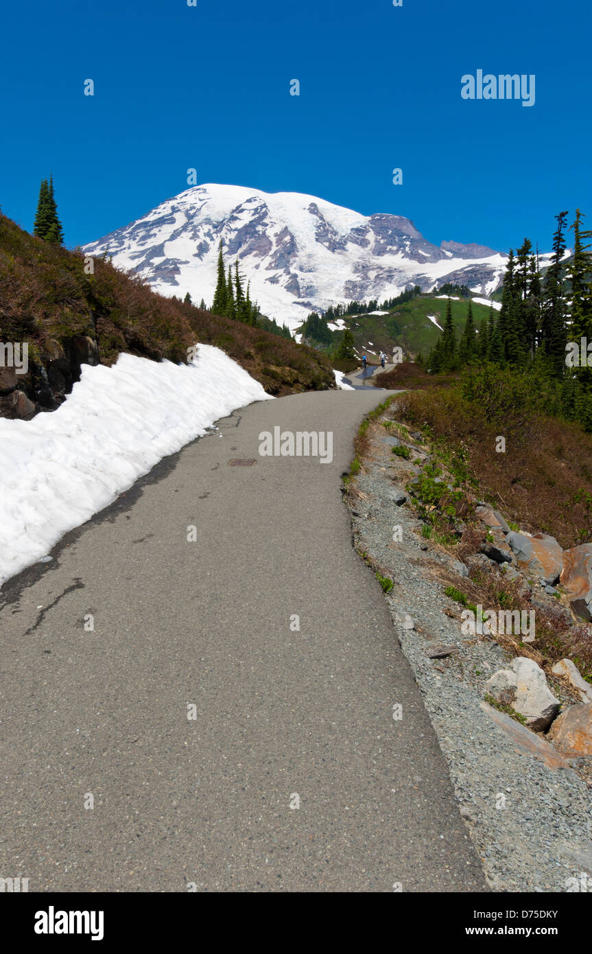 Skyline Trail in the Paradise Meadows Area, Mount Rainier National Park ...