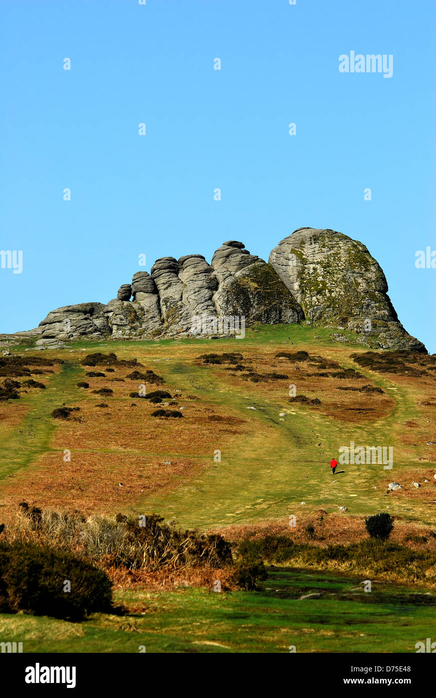 A view of Haytor Dartmoor Devon Stock Photo - Alamy