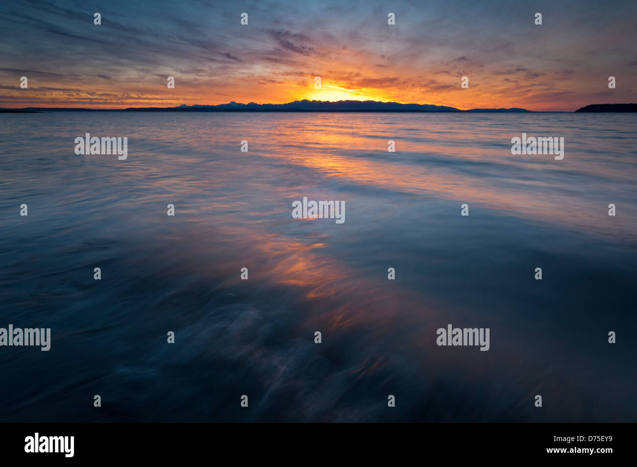 Puget sound beaches hi-res stock photography and images - Alamy