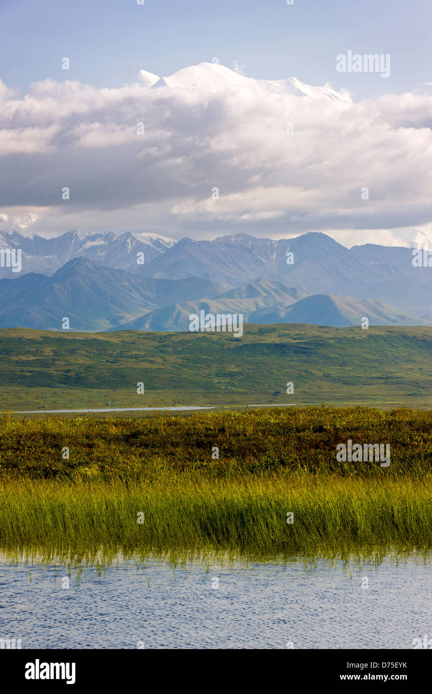 Mt. McKinley (Denali Mountain), highest pt N America (20,320') above ...