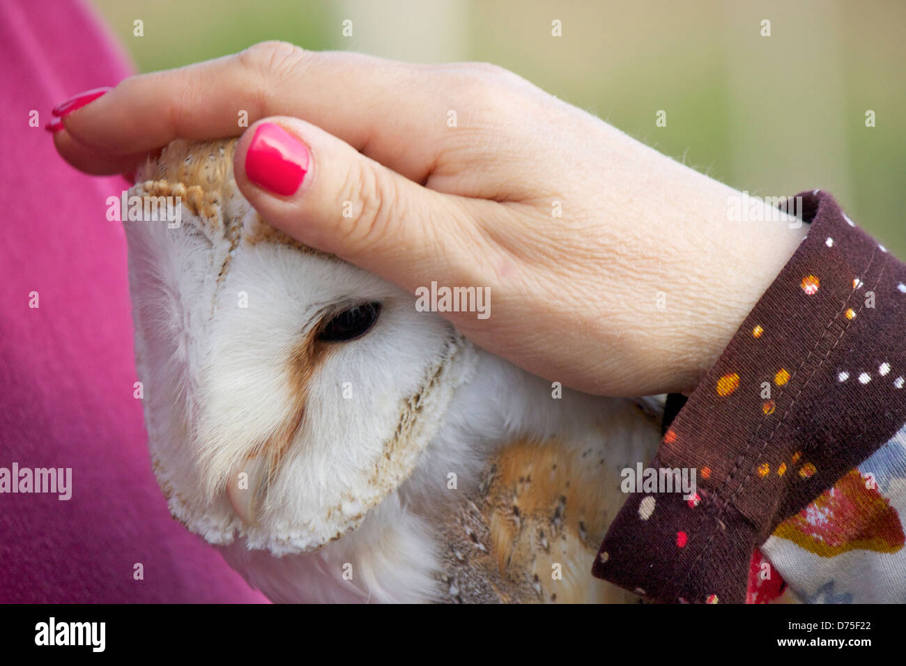 Bird hug hi-res stock photography and images - Alamy