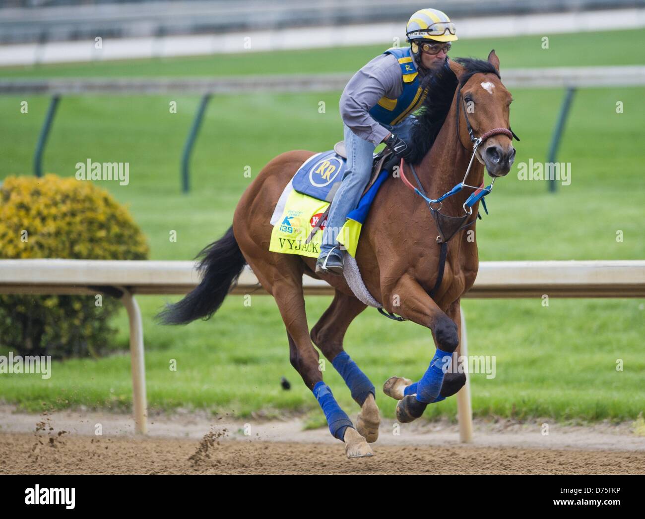 Vyjack hi-res stock photography and images - Alamy