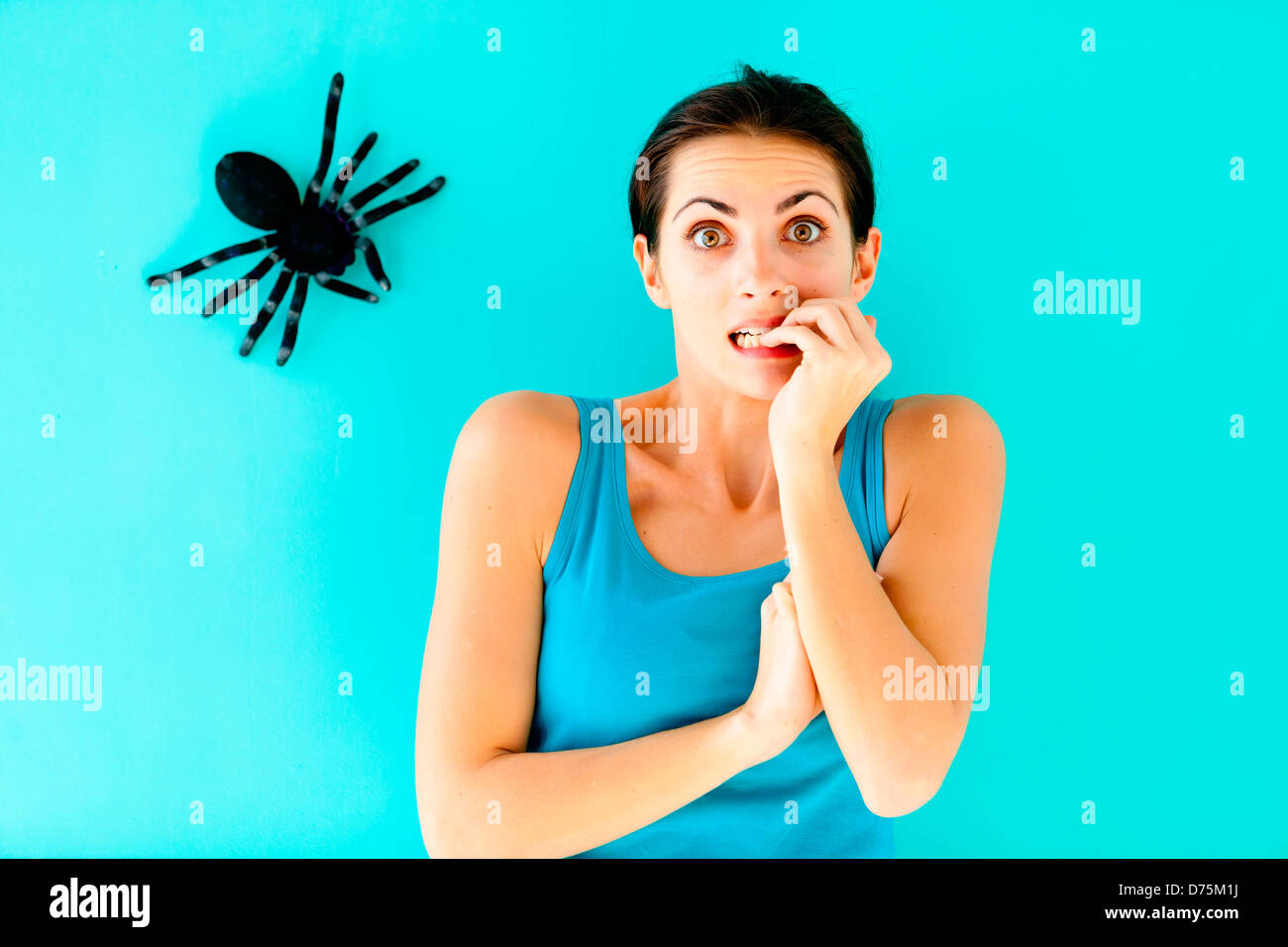 Arachnophobia hi-res stock photography and images - Alamy