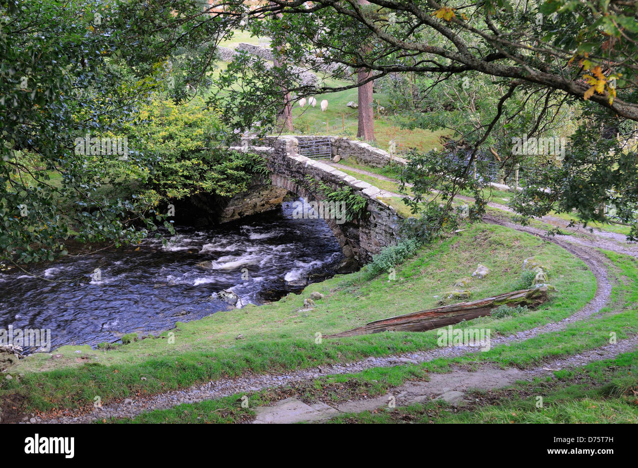 Arched stone bridge over river Stock Photo - Alamy