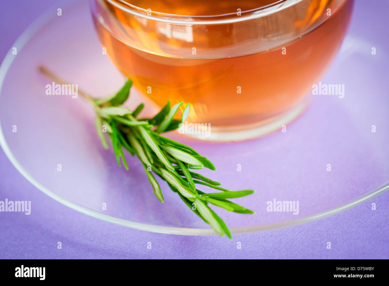 Rosmary herbal tea Stock Photo - Alamy