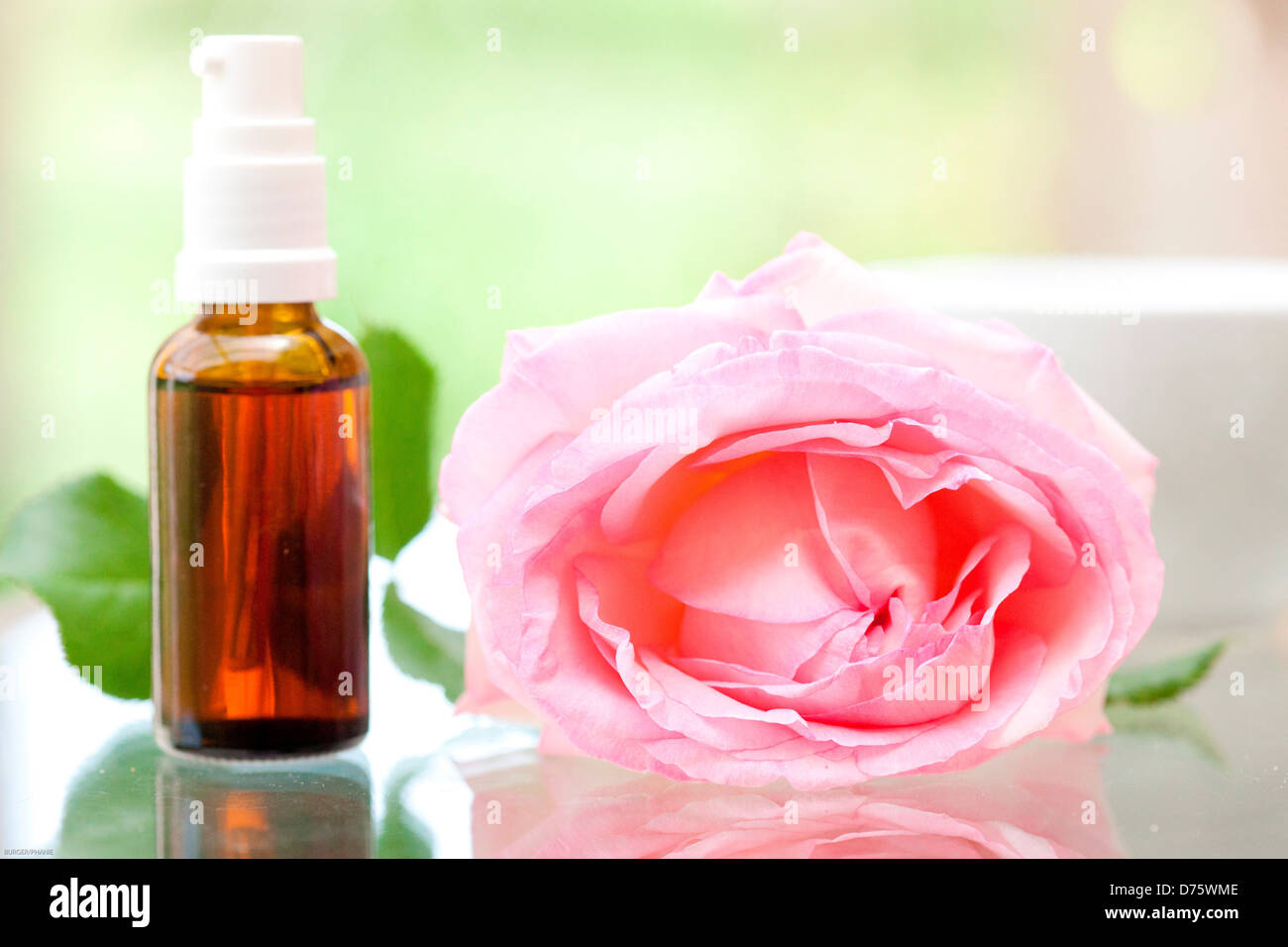 Rose essential oil Stock Photo - Alamy