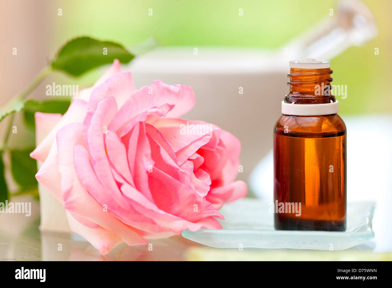 Rose oil oil hi-res stock photography and images - Alamy