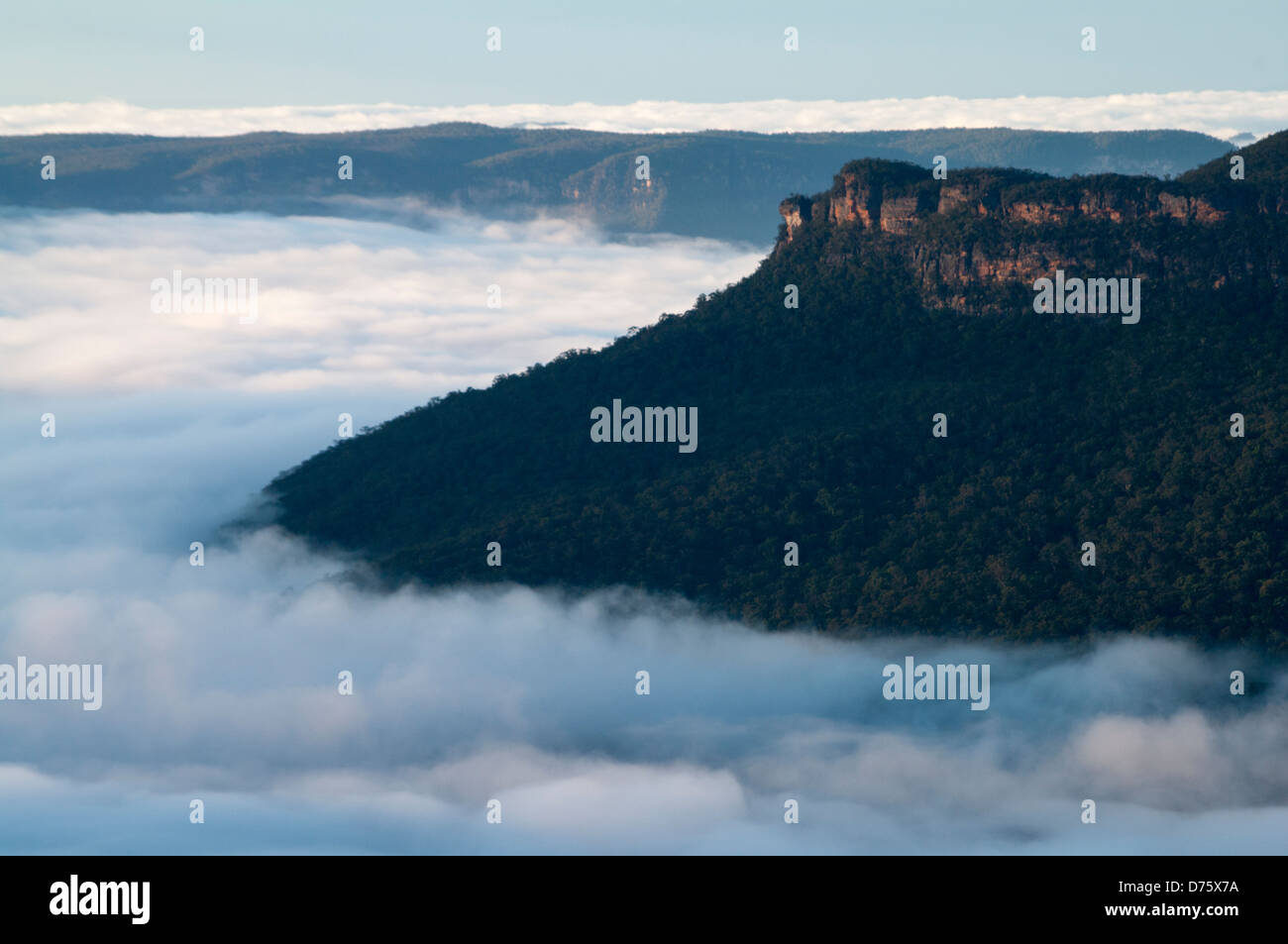 Jamison Valley, near Katoomba, NSW, Australia Stock Photo - Alamy