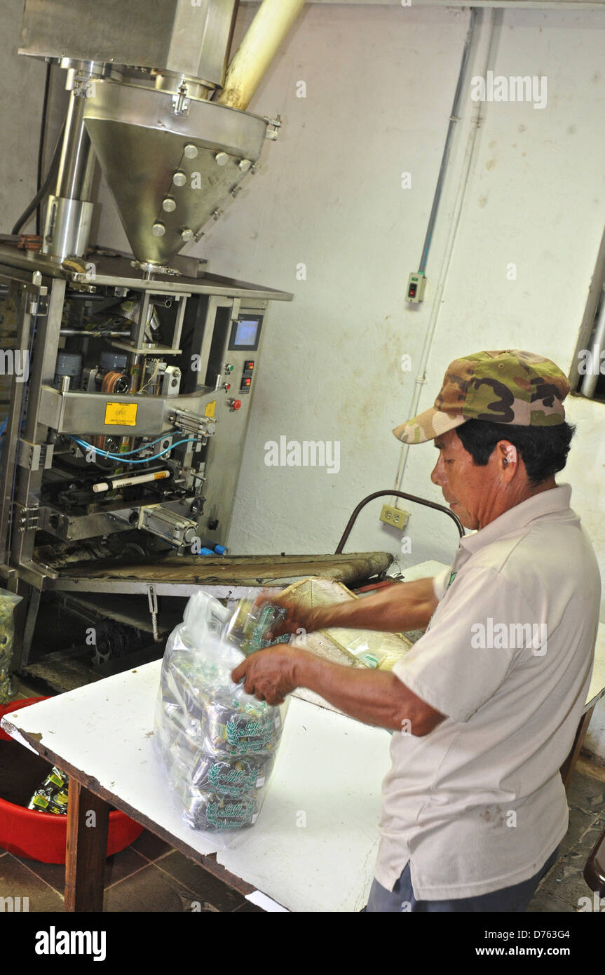 Panama, Coffee factory worker Stock Photo - Alamy