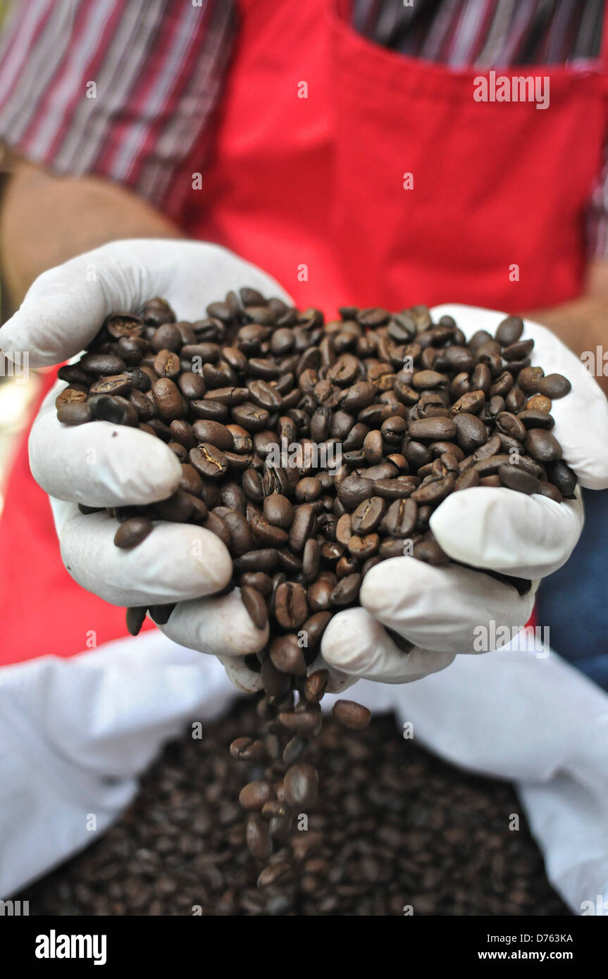 Panama, Man showing coffee beans Stock Photo - Alamy