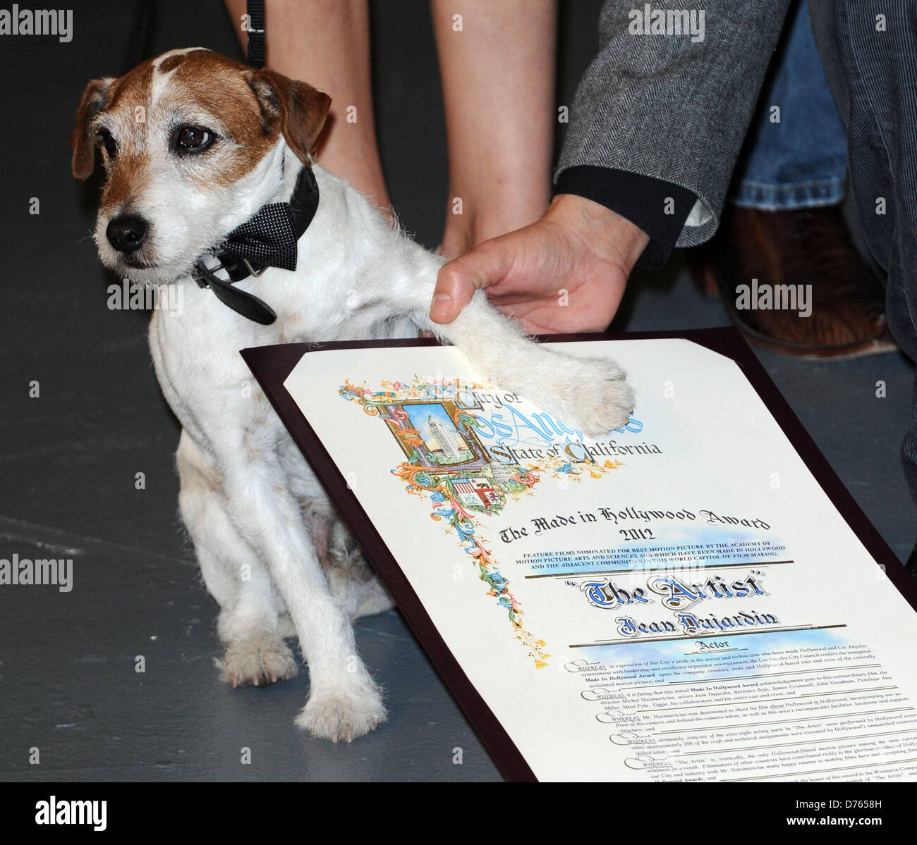 Uggie the dog at the Commendation from The City of Los Angeles to 'THE ...
