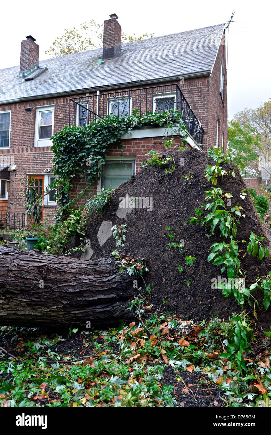 Queens yard hi-res stock photography and images - Alamy