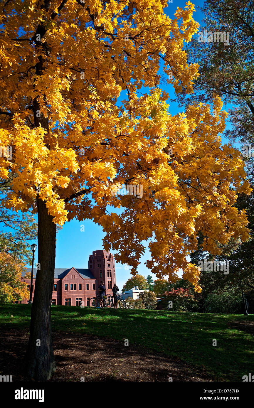 Yale university building hi-res stock photography and images - Alamy