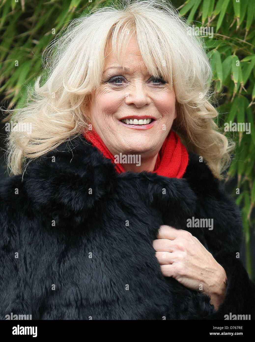 Sherrie Hewson at the ITV studios London, England - 06.02.12 Stock ...