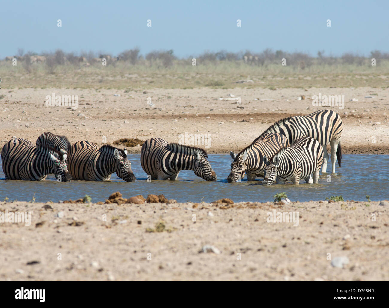 Belly deep water hi-res stock photography and images - Alamy