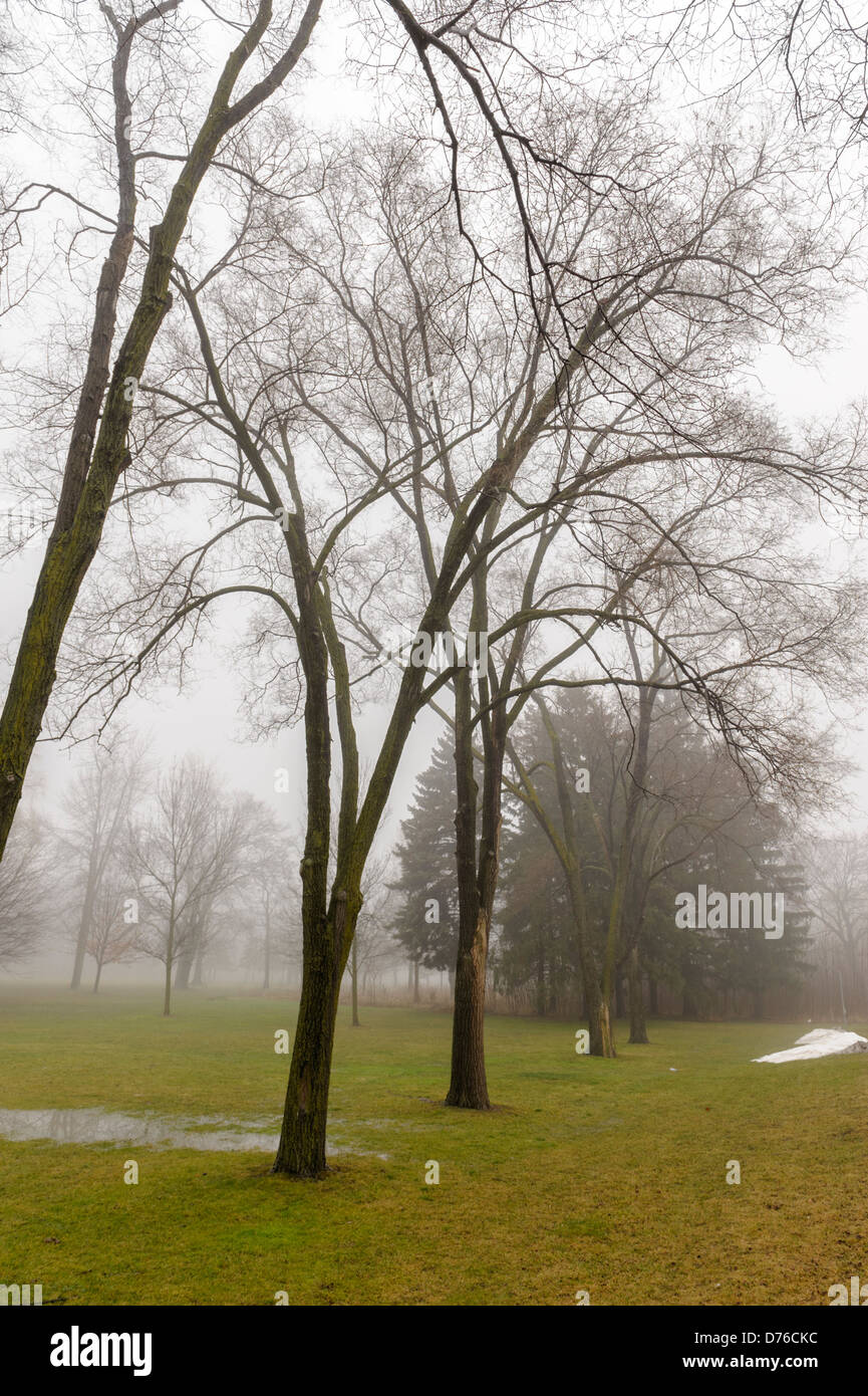 Quiet winter morning Stock Photo - Alamy