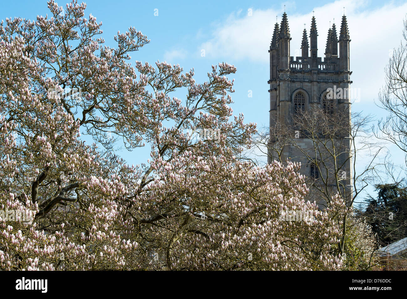 Botanical gardens oxford uk hi-res stock photography and images - Alamy