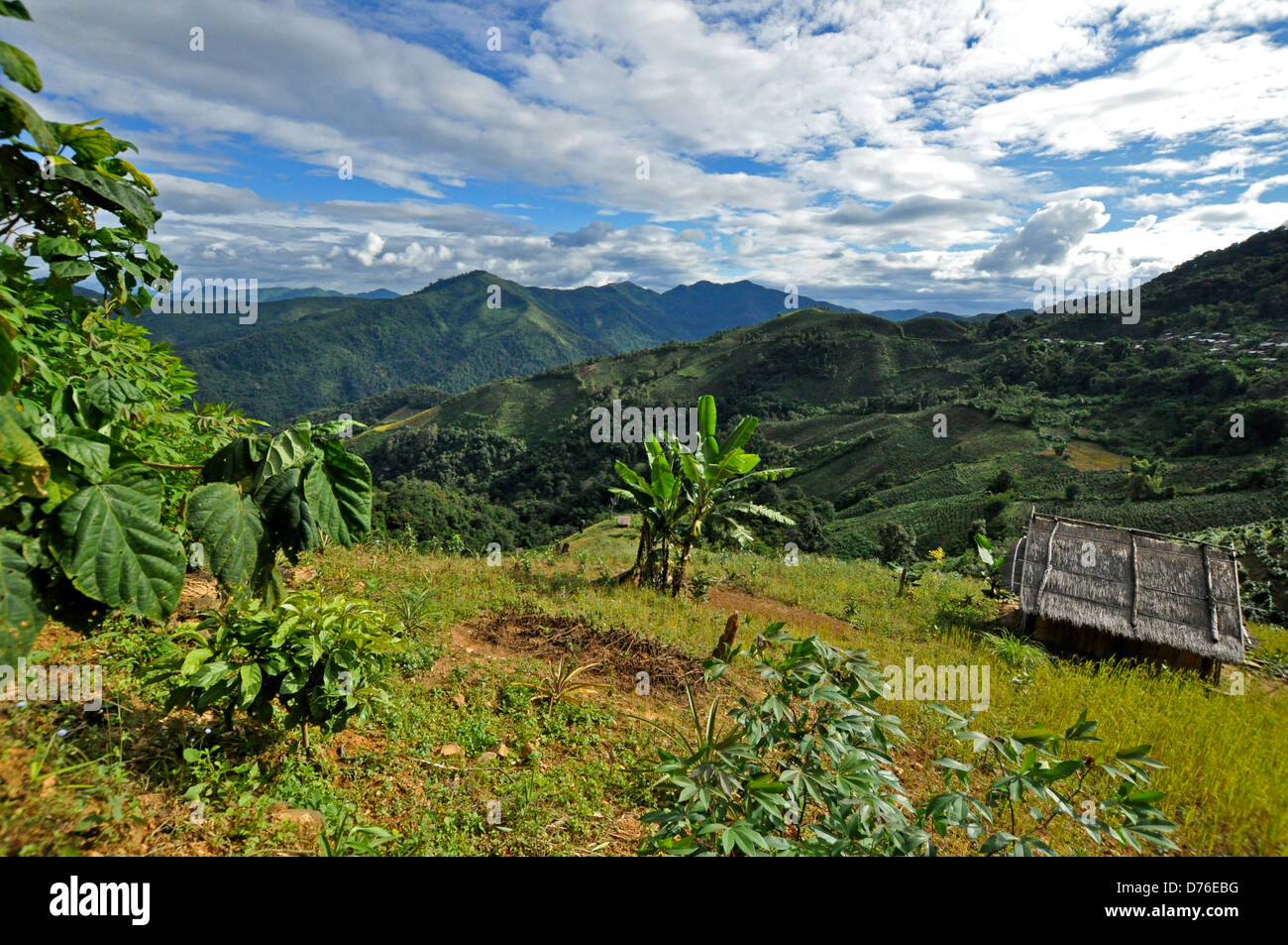 Lush green landscape hi-res stock photography and images - Alamy
