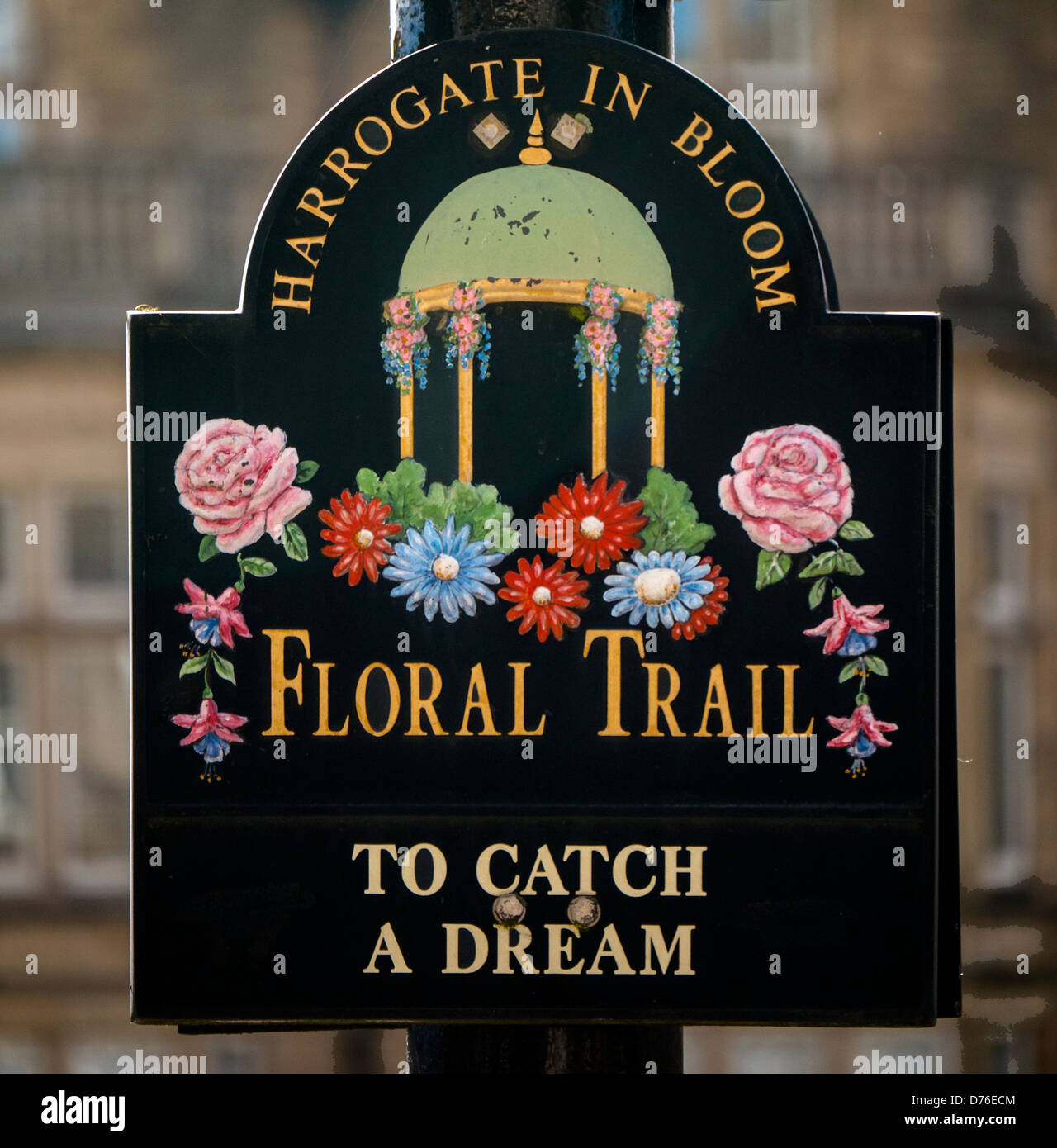 Floral Trail High Resolution Stock Photography and Images - Alamy