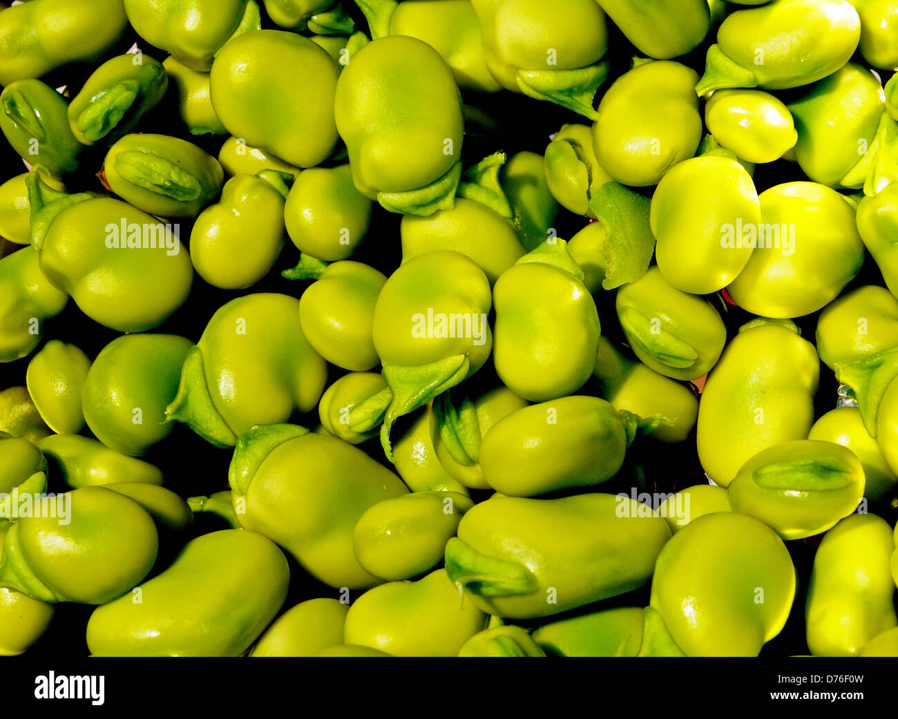 Reina mora hi-res stock photography and images - Alamy