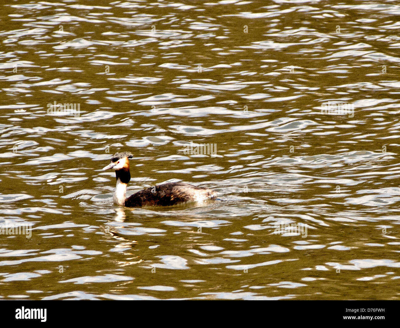 Birkacre nature reserve hi-res stock photography and images - Alamy
