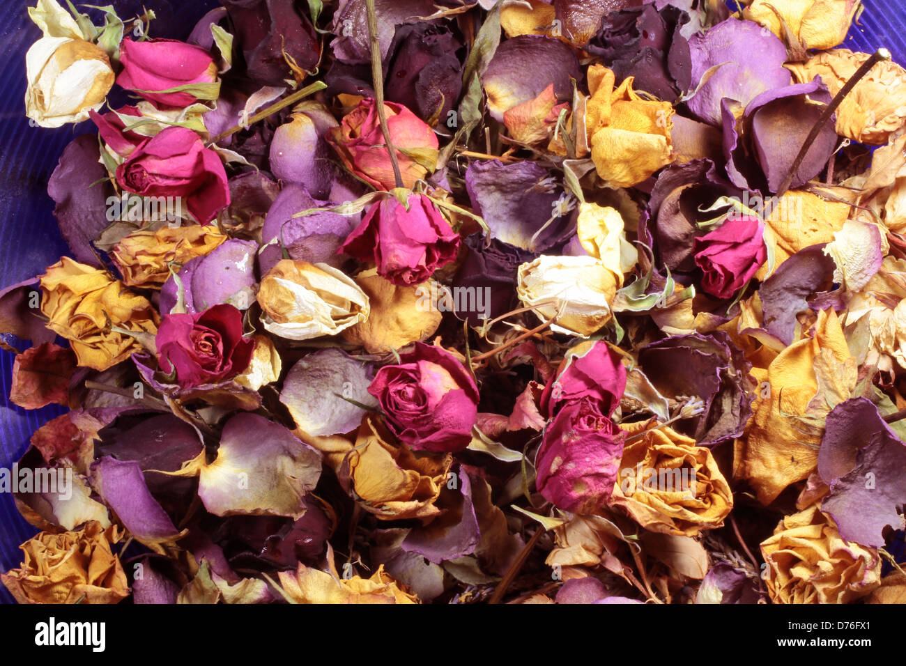 Close-up of a potpourri of colorful dried roses Stock Photo - Alamy