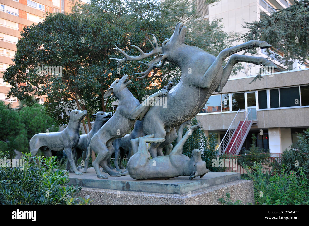 Cervol hi-res stock photography and images - Alamy