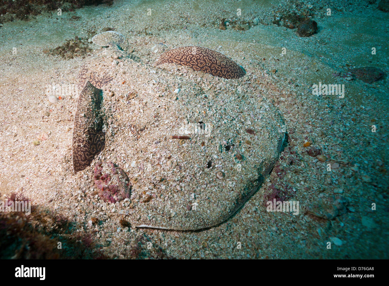 Indian ocean south africa hi-res stock photography and images - Alamy