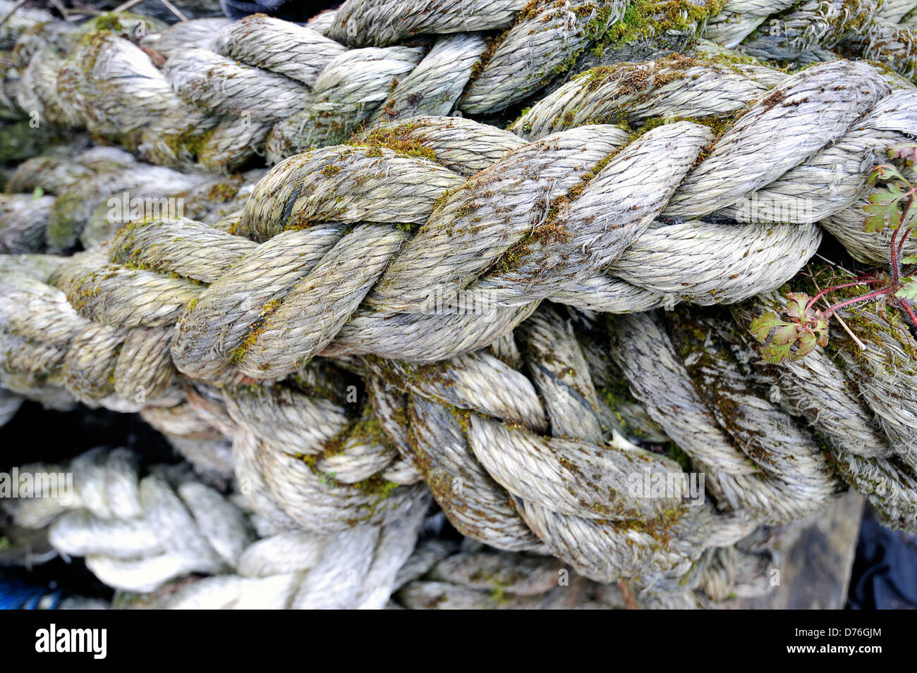 Thick coiled rope hi-res stock photography and images - Alamy