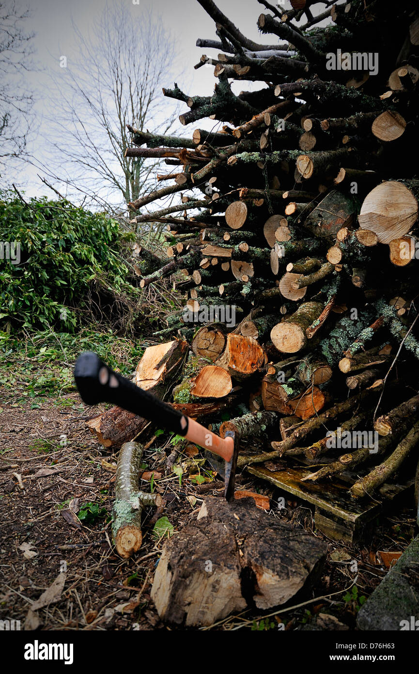 Axe in tree trunk next to wood pile, Ireland Stock Photo - Alamy