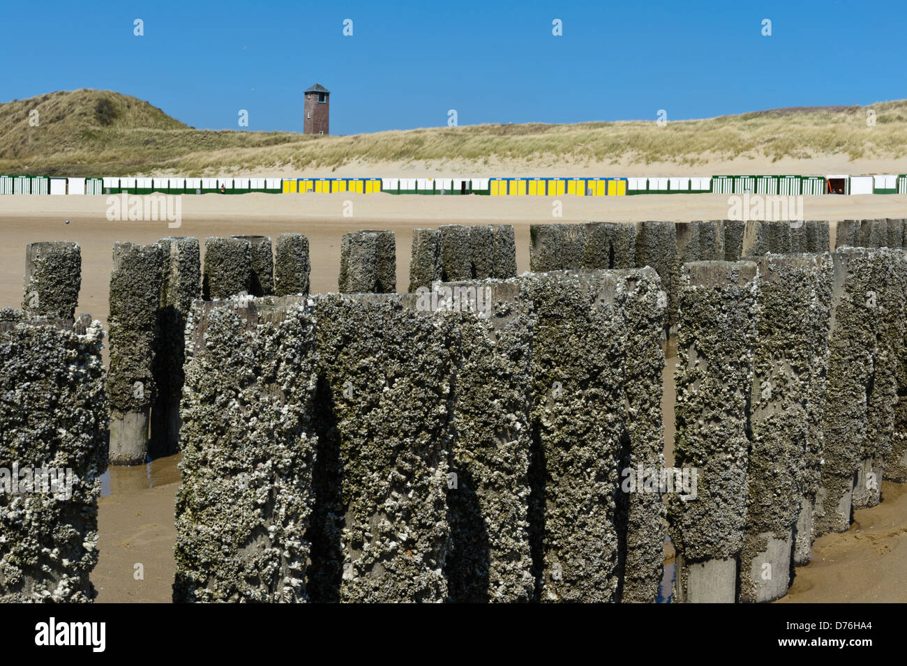 One of the many wooden breakwaters on the beach with view on lighthouse ...