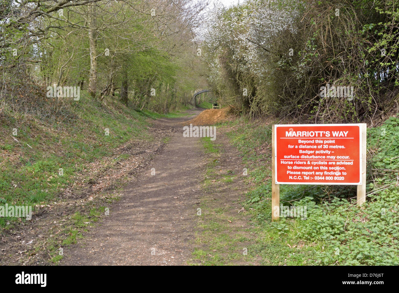 Sign warning of badger activity on the Marriott's Way footpath near ...